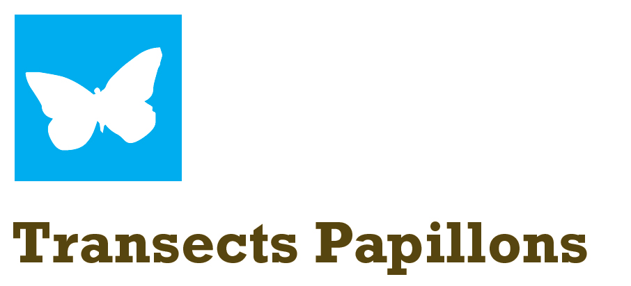 Transect papillons - Aérobiodiversité